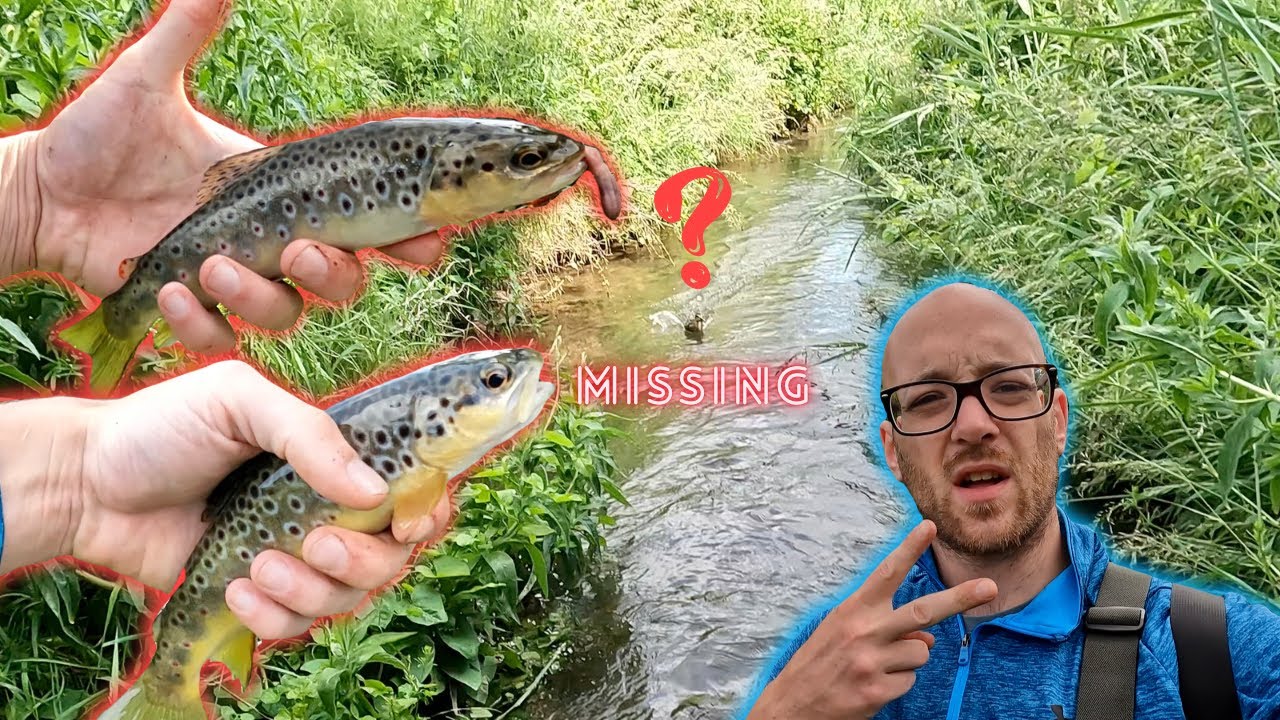 Trout Fishing Made Simple: Hook, Split shot & Worms Bring Non-Stop ...