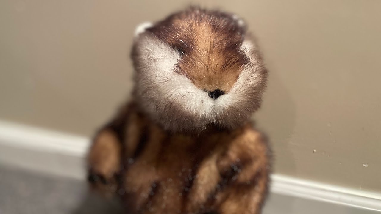 Gemmy - Animated Caddy-Shack Gopher “I’m Alright” - YouTube