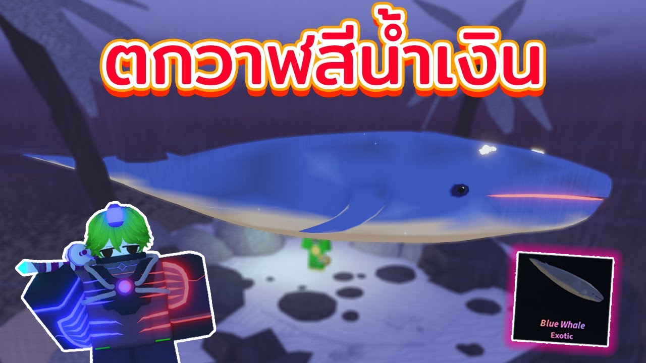 ตกวาฬสีน้ำเงิน Blue Whale - Fisch Roblox - YouTube