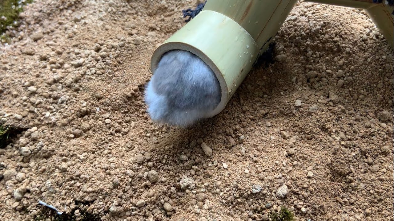 digging hold 3 - YouTube