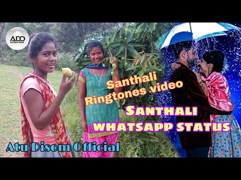 BiLi Ull 🥭 SANTHALI RINGTONE | SANTHALI WHATSAPP STATUS 2022
