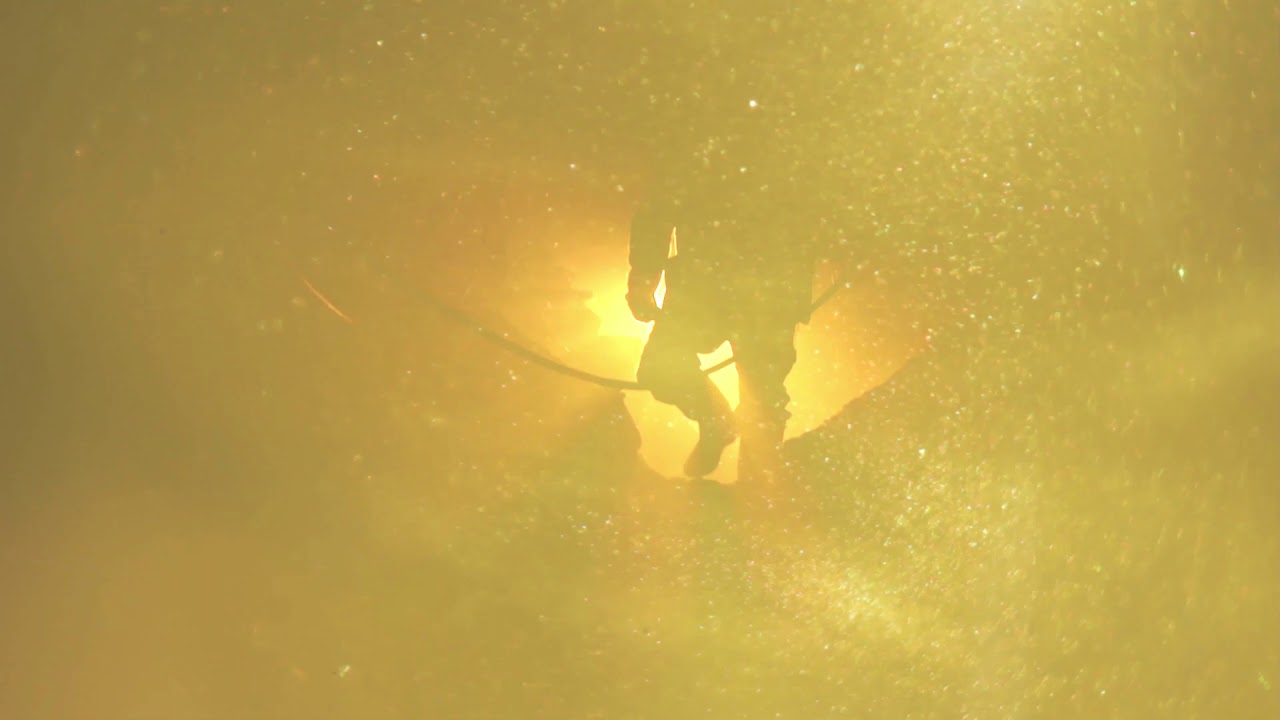 RISA HALL GOLD DUST OFFICIAL VIDEO - YouTube