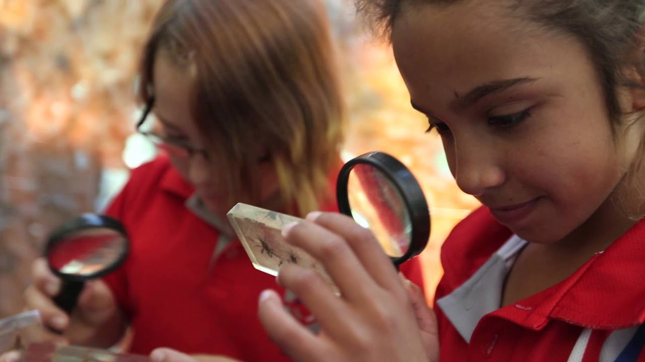 Children's University Adelaide 2015 November Graduation - YouTube