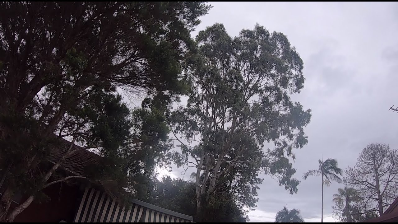 NO 1 WAITING ON CYCLONE ALFRED FRIDAY 8.30 AM 7TH MARCH 2025 - YouTube