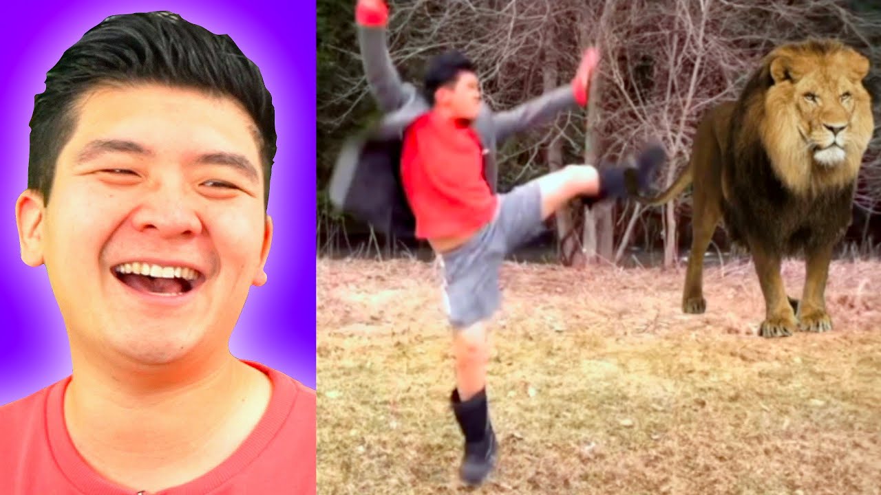 HAHA WE'RE BACK - Reddit Report Card #24 - YouTube