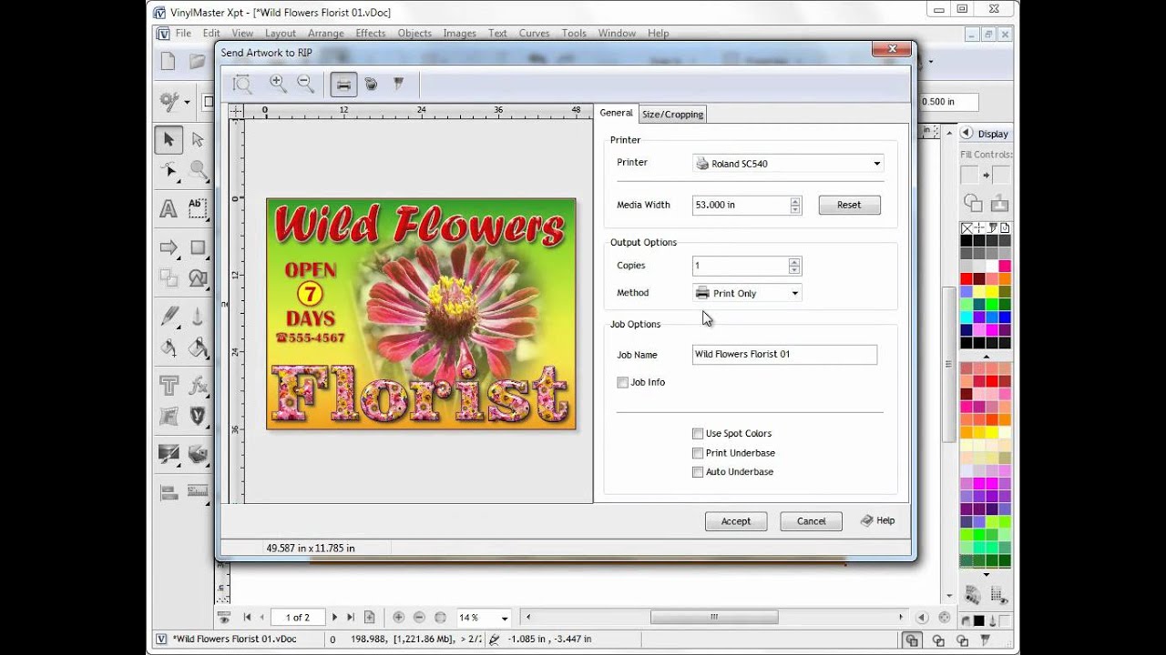 VinylMaster Output - RIP, Print & Cut Tools & Features - YouTube