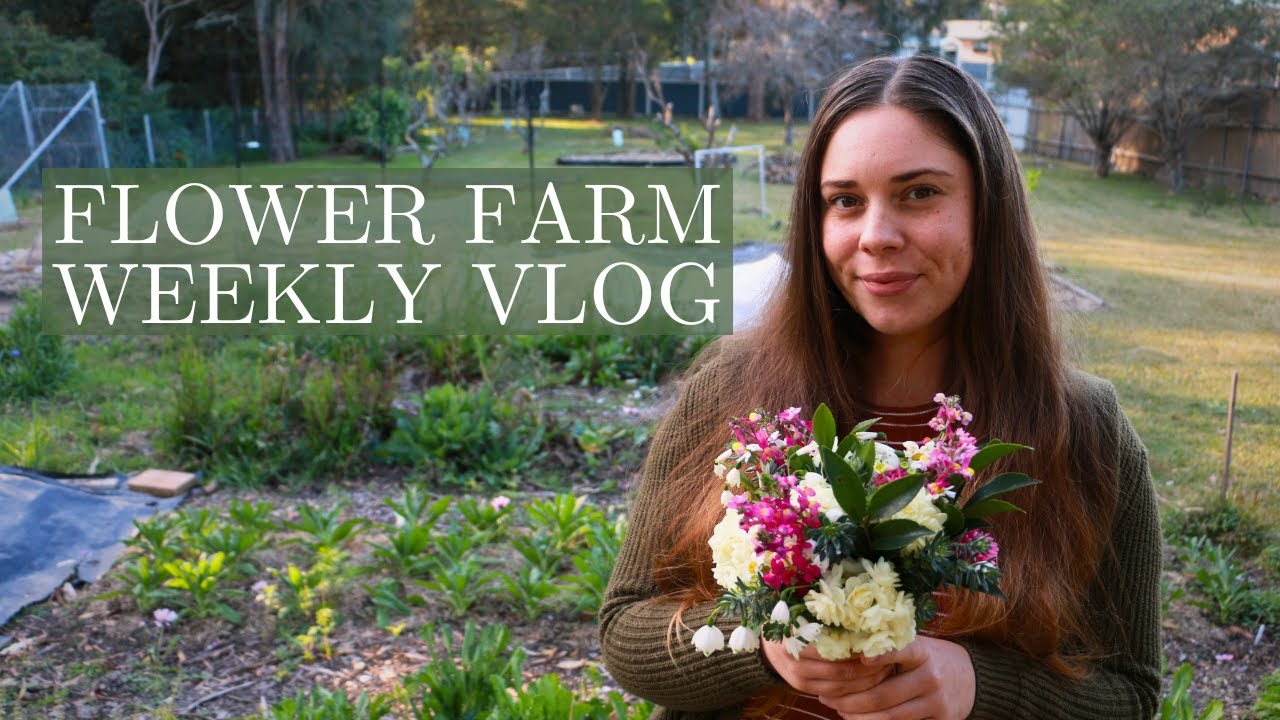 Flower Farming in Midwinter Australia💐Making Seed Raising Mix, Work ...