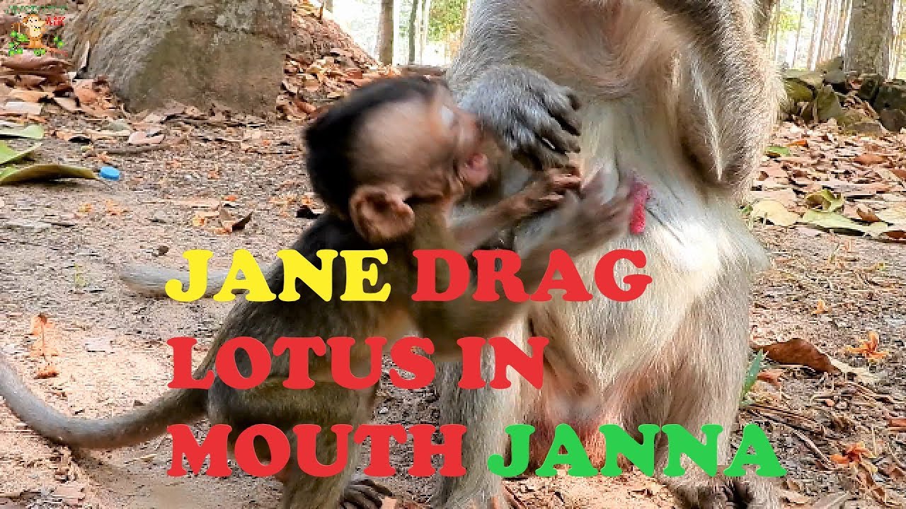 POOR MOM JANE DID WRONG ON HER BABY JANNA , BABY JANNA CRY ANGRY MOM ...