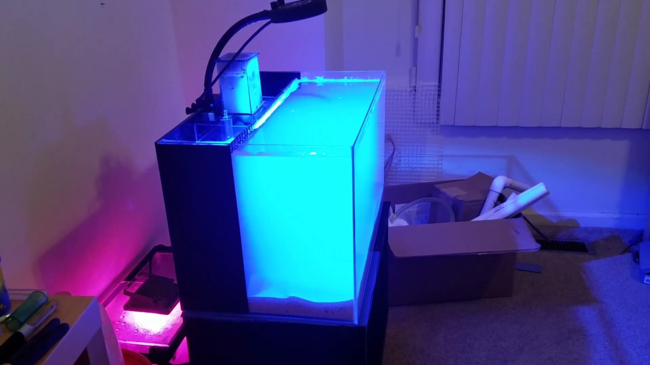 Project Starfire - SC Aquariums 24 Gallon AIO (All In One) - Pt 3 ...