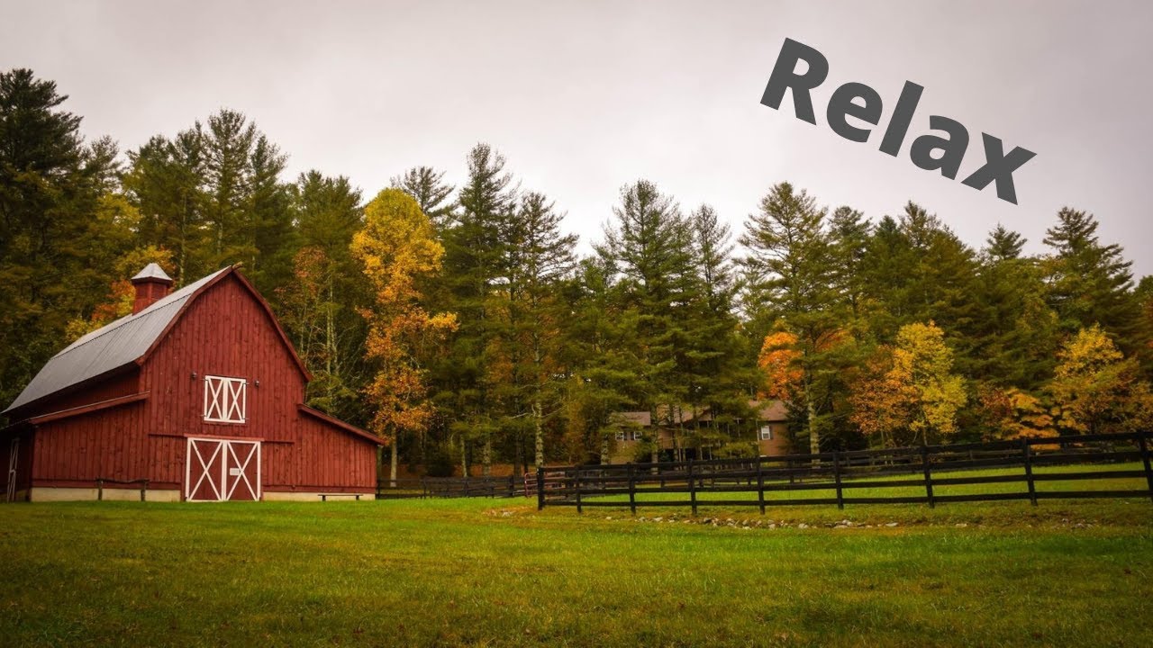 Relaxing Farm music - YouTube