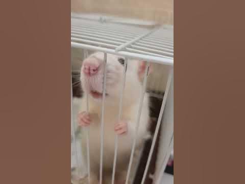 просто - YouTube
