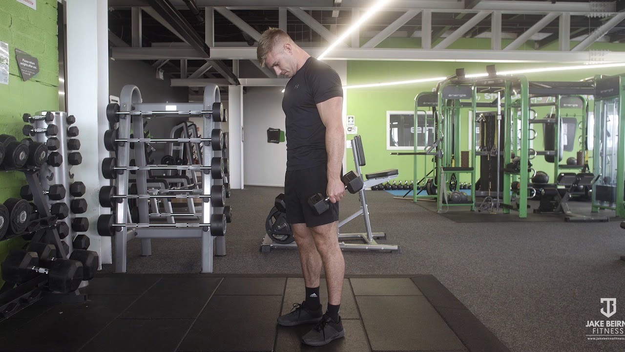 Standing Dumbbell Bicep Curl (with Rotation - Alternating) - YouTube