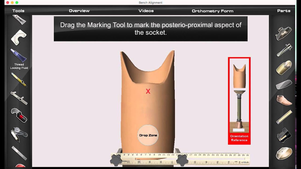 Prosthetic Bench Alignment Interactive CBT - college course - YouTube