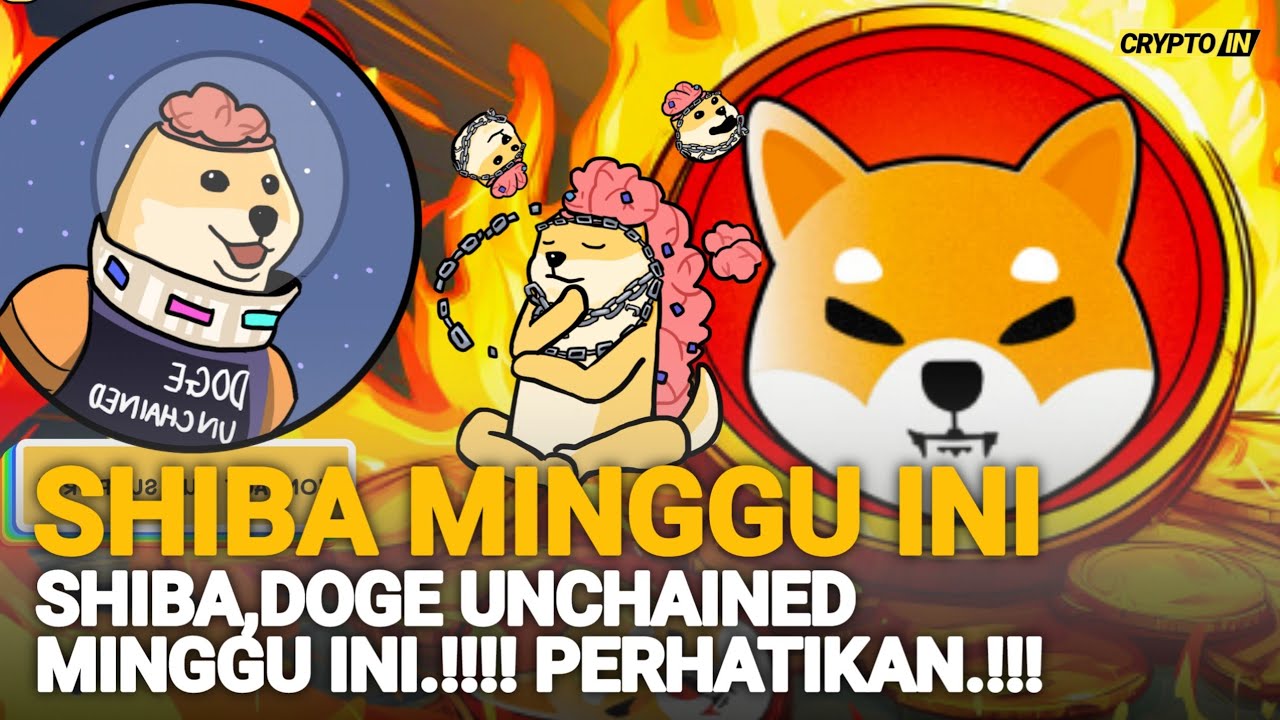 PERHATIKAN , INI YANG AKAN TERJADI PADA SHIBA INU MINGGU INI! CHECK JUGA DOGE UNCHAINED POTENSI ...