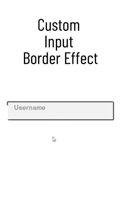 Create Custom Input Border With Html And Css Only Css Html Code