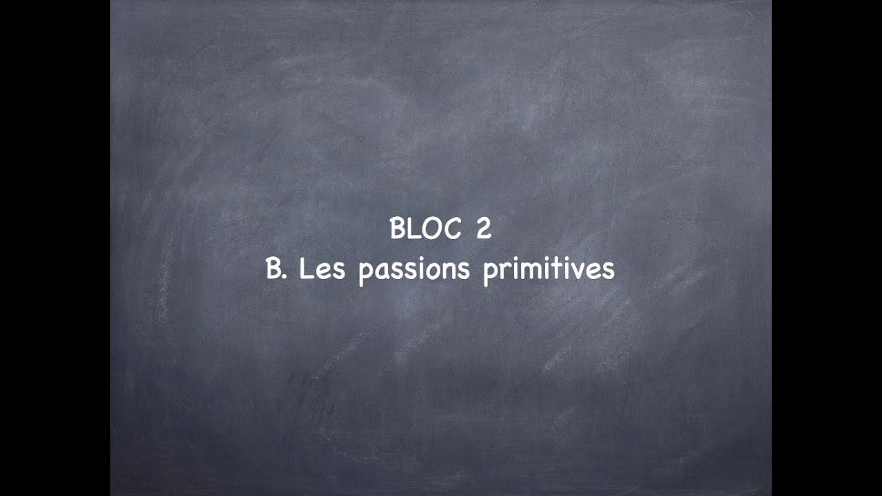 Descartes - Les passions de l'âme. Bloc 2 - Les passions de l'âme - B ...