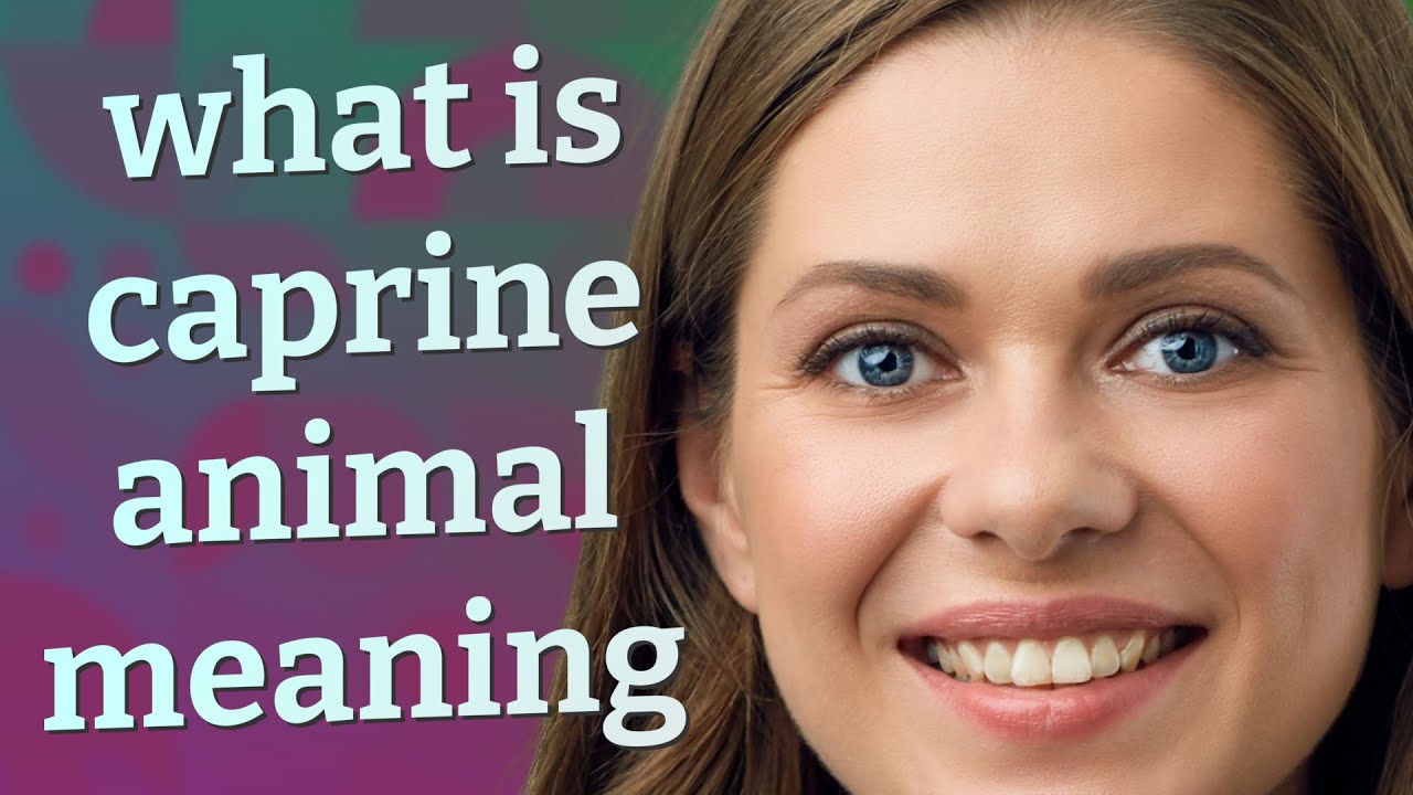 Caprine animal | meaning of Caprine animal - YouTube