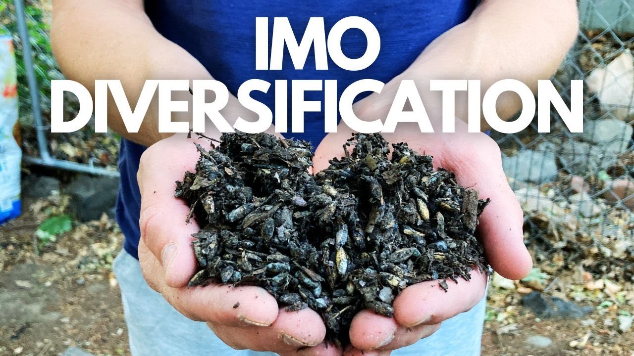 A Beginner's Guide to IMO3 - YouTube