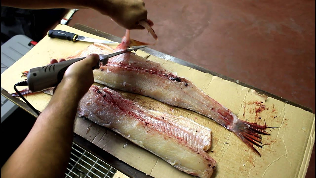 How to fillet Northern Pike with Electric Filleting knife - YouTube