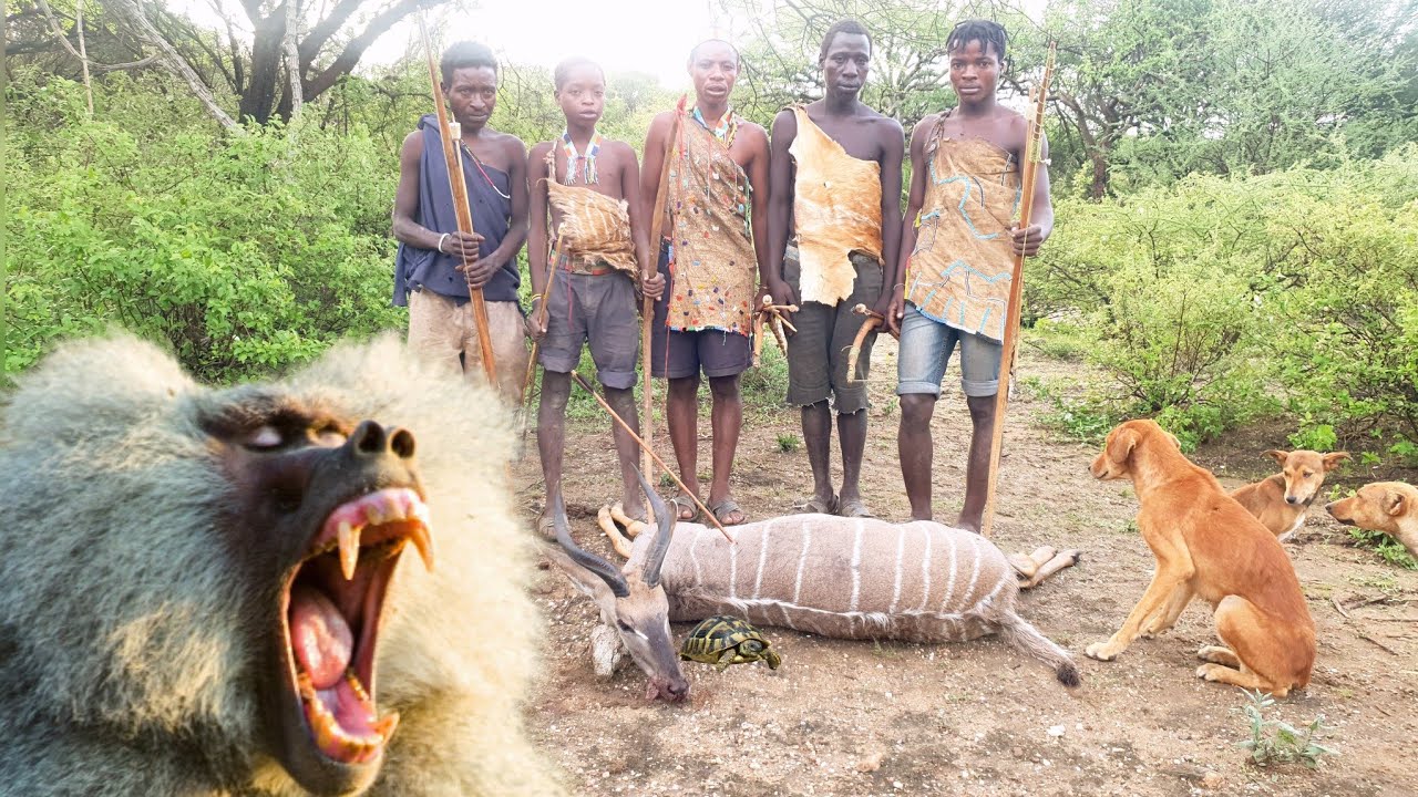 Visiting Baboon Eating Tribe in Africa - YouTube