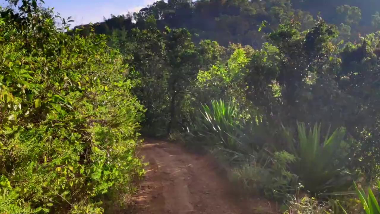 Drive from Kanive View Point - YouTube