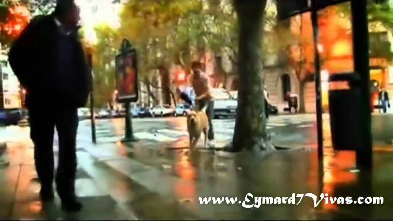 Ricardo Montaner - Soy Feliz (Video Oficial)HD - YouTube