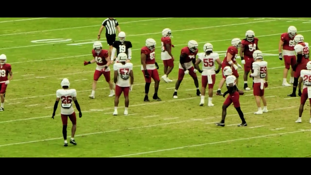 Jeff driskel | arizona cardinals training camp | state farm stadium ...
