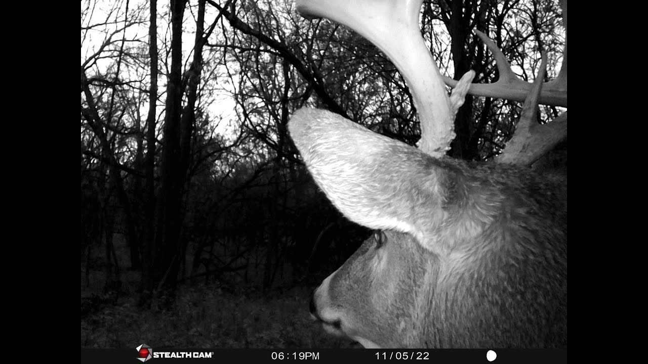 111122 First Buck Double lung shot - YouTube