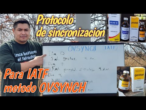 Protocolo de sincronizacion para IATF Mediante el metodo OVSYNCH ...