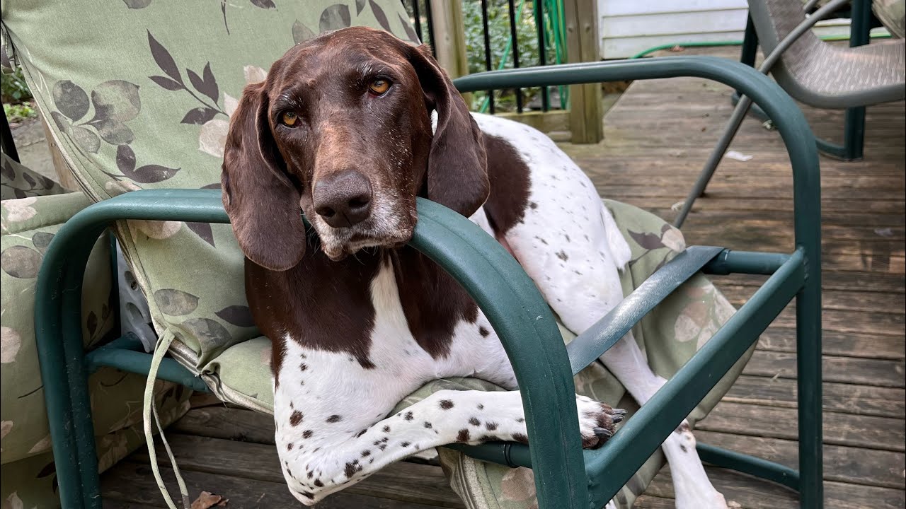 Ashbys Morning Routine - YouTube