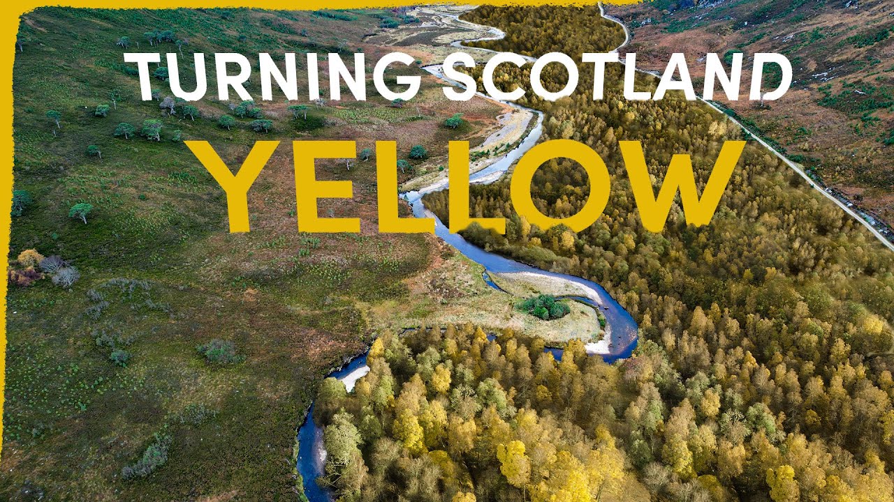 Why We Are Bringing Back the Lost Aspen Forests of Scotland - YouTube
