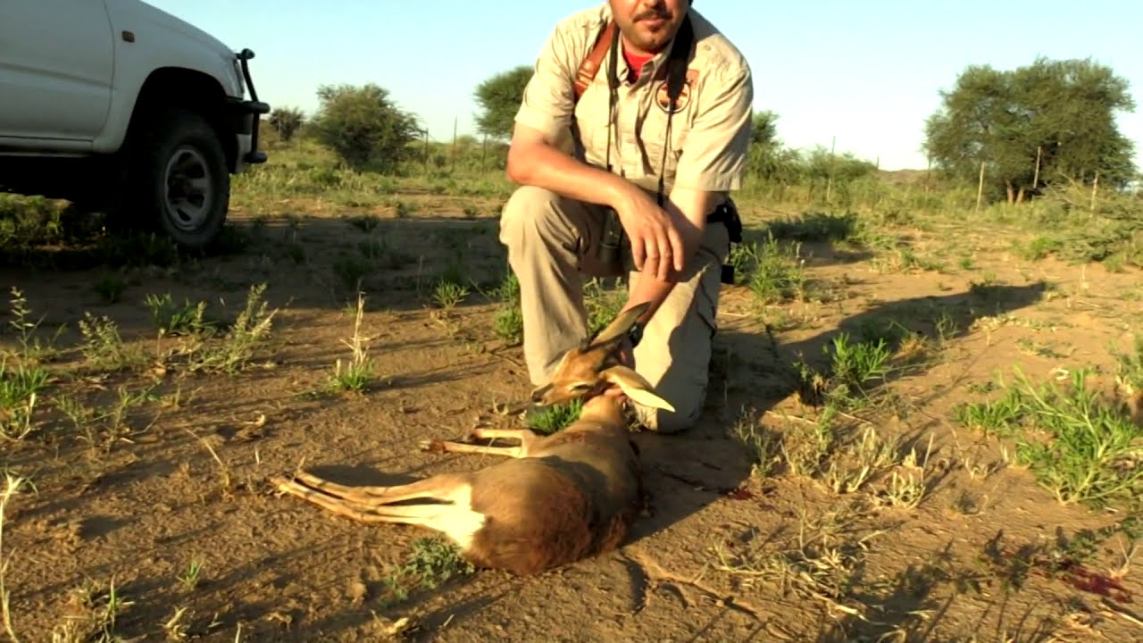 Wild Trophy Hunts: Steenbok hunt 2016 - YouTube