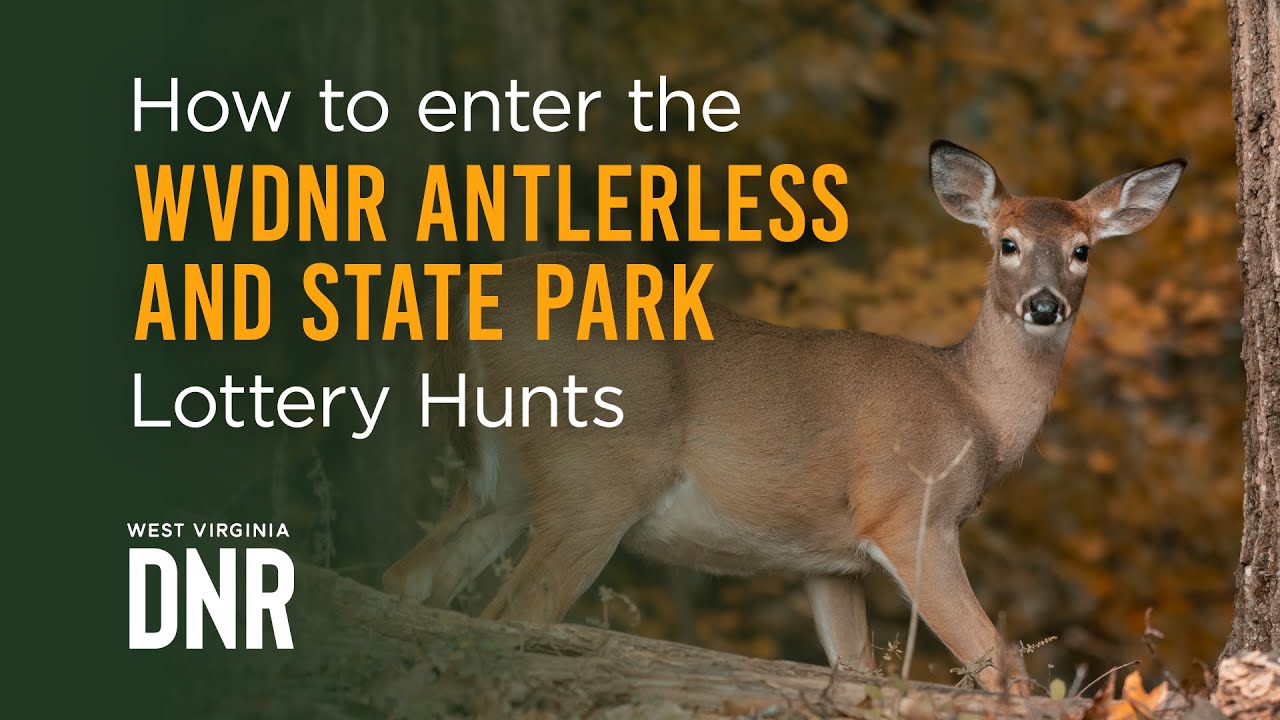 How to enter WVDNR Antlerless and State Park Lottery Hunts - YouTube