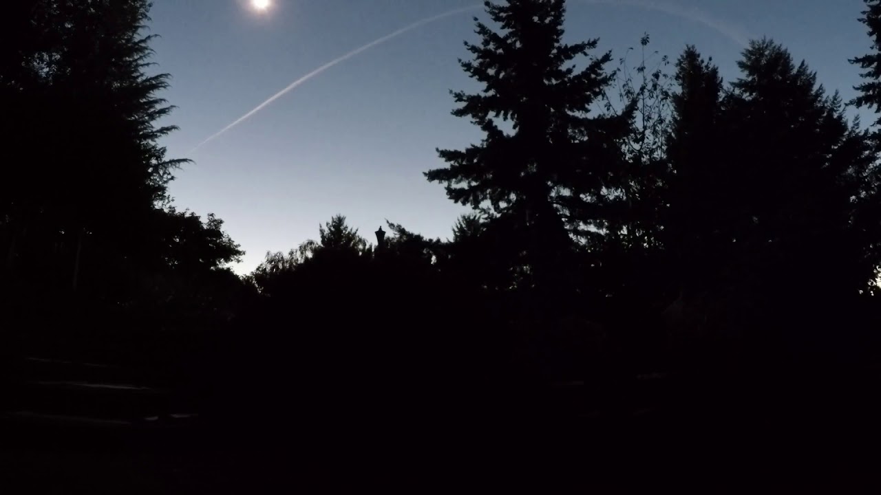 Total Solar Eclipse 2017 Corvallis, Oregon - YouTube