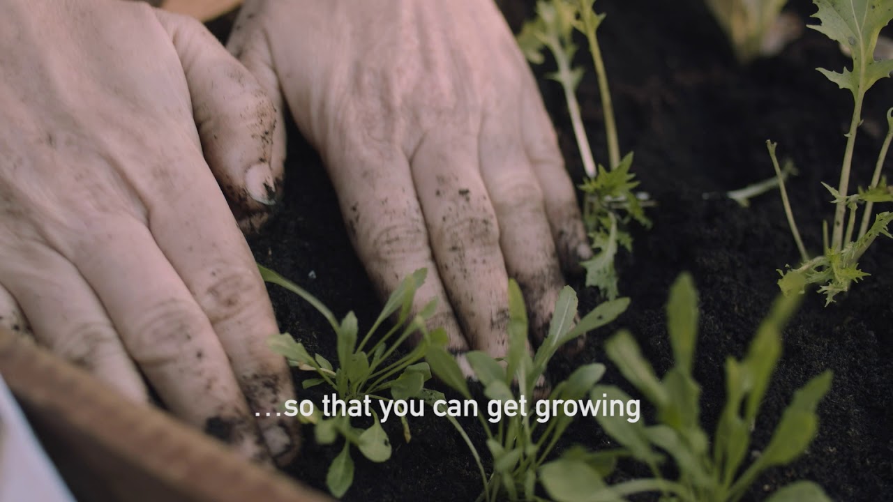The Easy Way To Get Your Veg Patch Going YouTube The Easy Way To Get Your Veg Patch Going YouTube