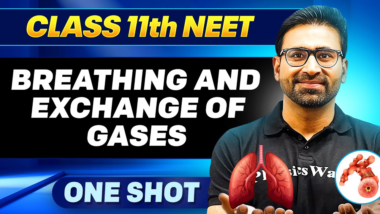 BREATHING & EXCHANGE OF GASES in ONE SHOT || All Concepts, Tricks & PYQ || Ummeed NEET - YouTube