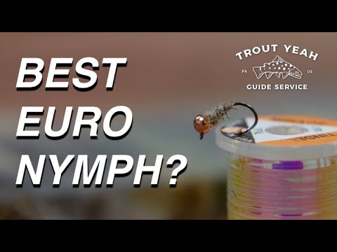 Walts Worm Fly Tying - Simple Euro Nymph