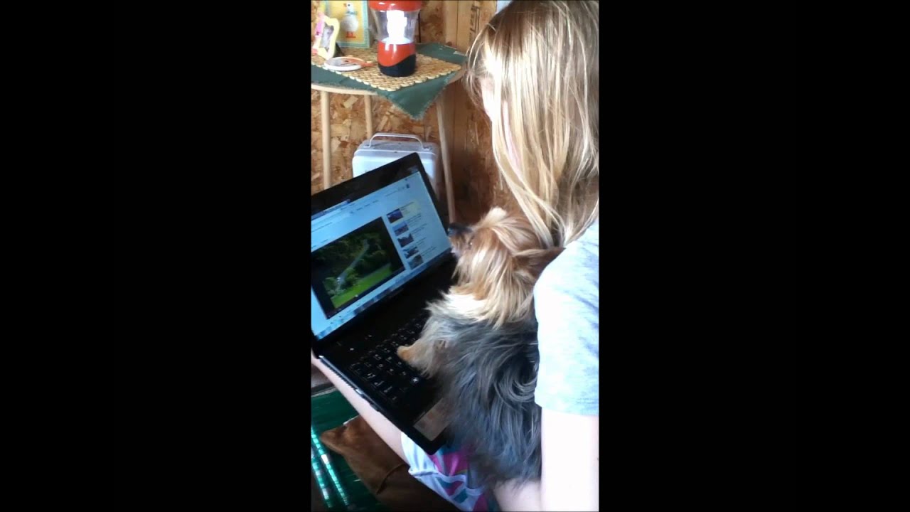 gus gets scared at scary game - YouTube