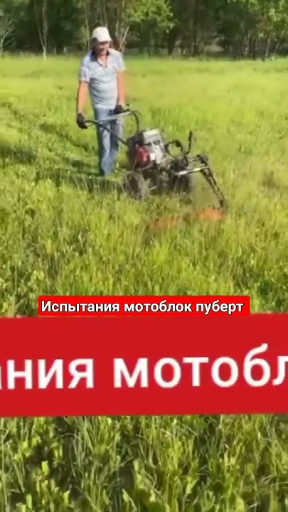 Испытания мотоблок пуберт PUBERT #2023 #shorts - YouTube