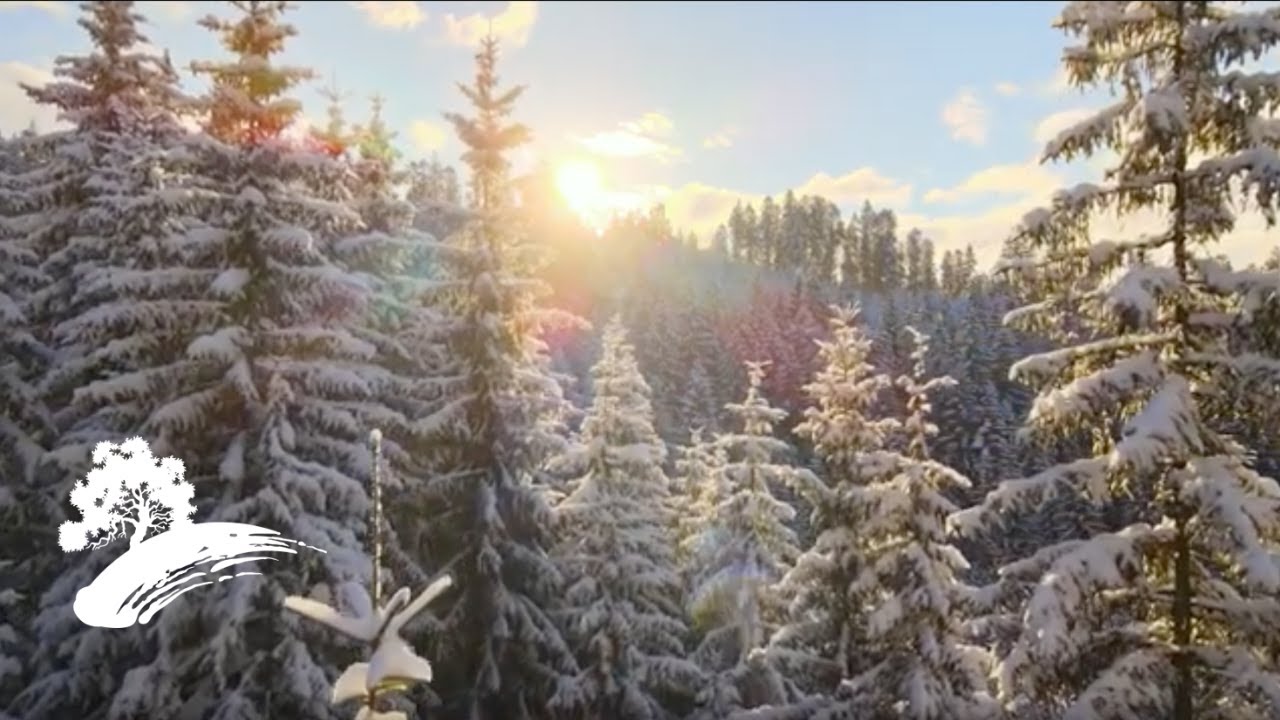 Green Hill Music - December Morning (feat. Mark Douthit) [Holiday ...