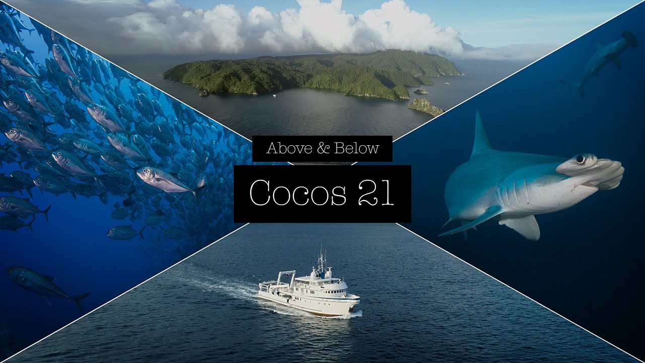 Cocos Island 2021 - Cocos Island is one of the most beautiful islands ...