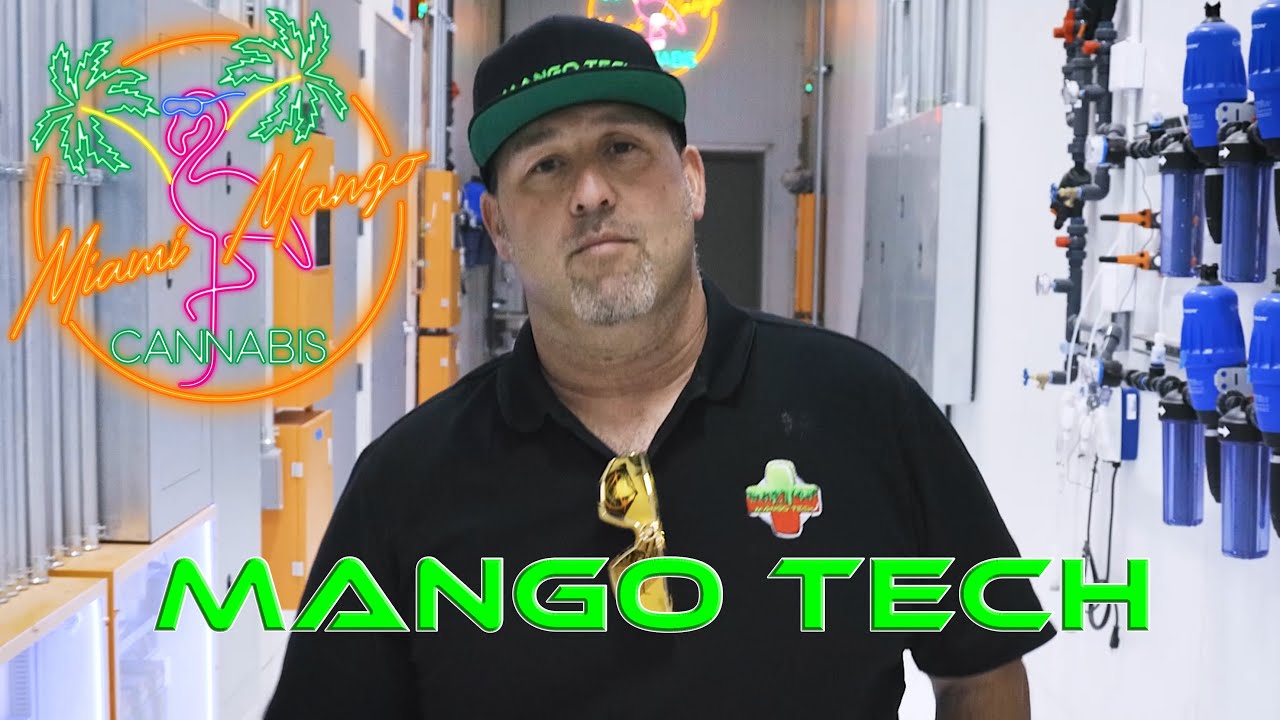 MangoTech - YouTube