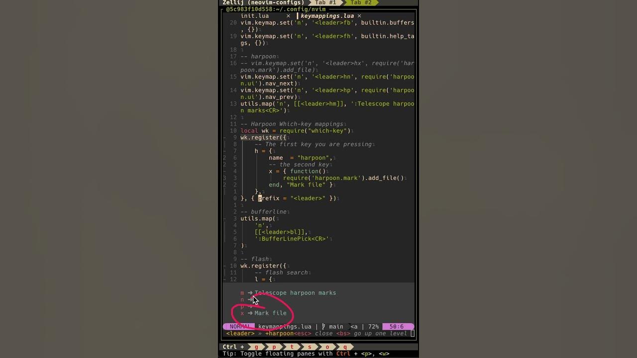 which key #neovim #lua #coding - YouTube