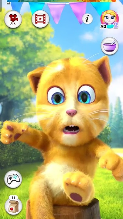 Talking Ginger 🍇 🍈 🍉 🍊 🍋 🍌 🍍 🥭 🍎 🍏 🍐 🍑 🍒 🍓 🫐 🥝 🍅 🫒 Catfunny Funny