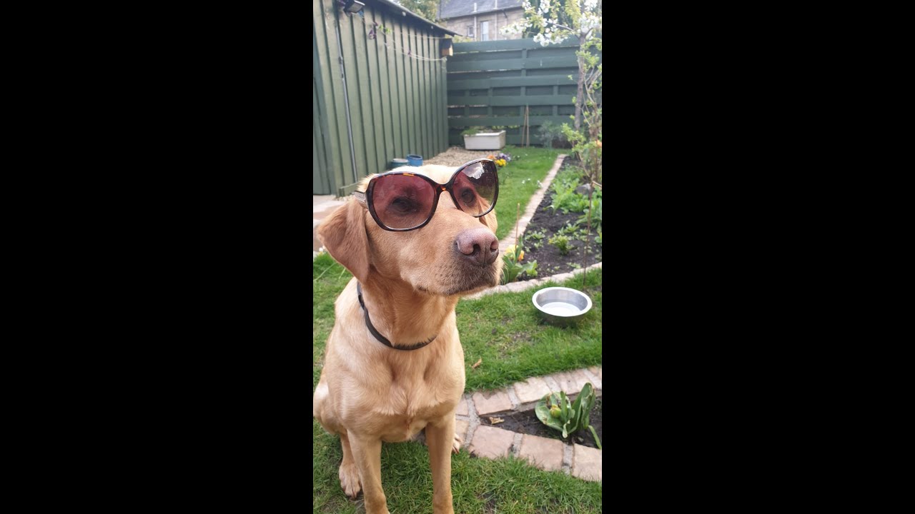 Scottish Folk & Fairy Tales – The Worm of Linton and The Legend of ...