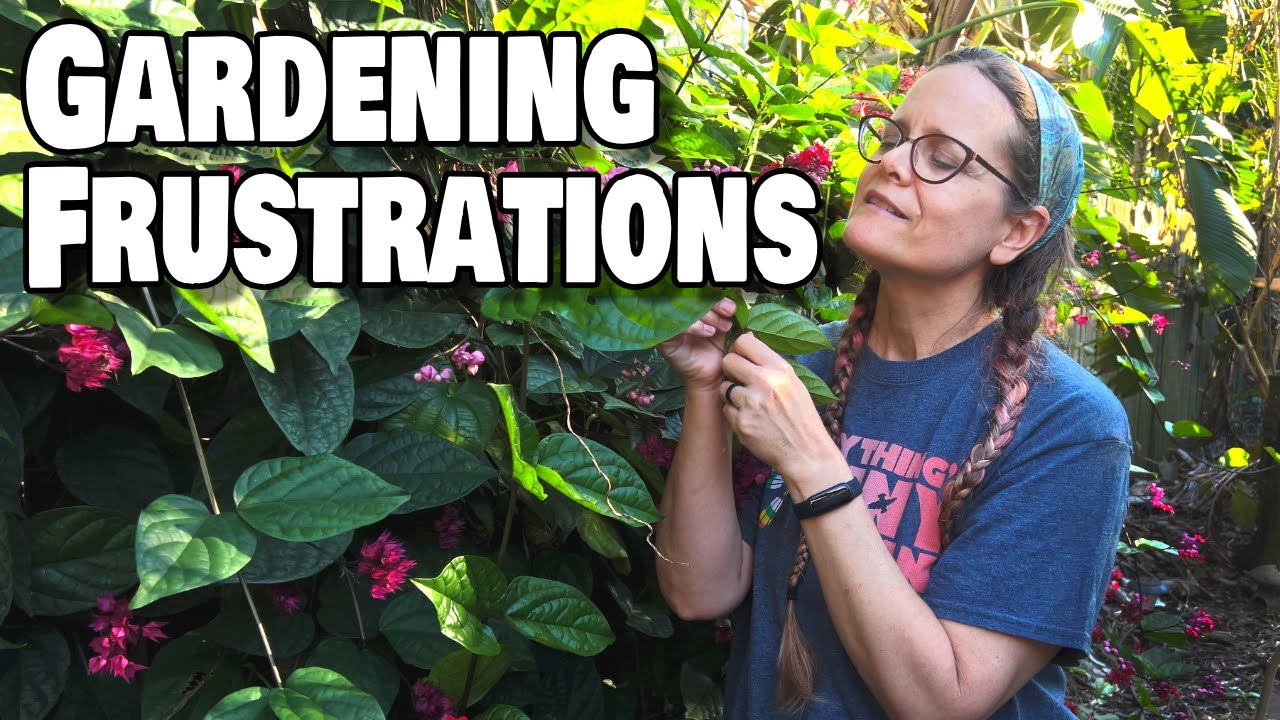 8 Tips to Avoid Garden Frustrations - YouTube
