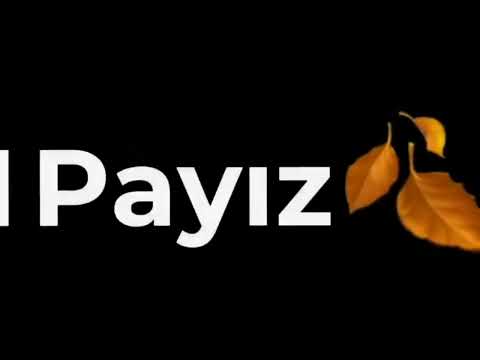 Payız Gecəsi Narın Atan Yazışlar