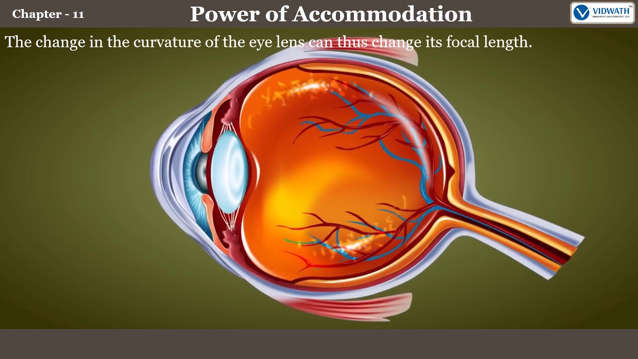 cbse-human-eye-and-colourful-world-session-1-youtube