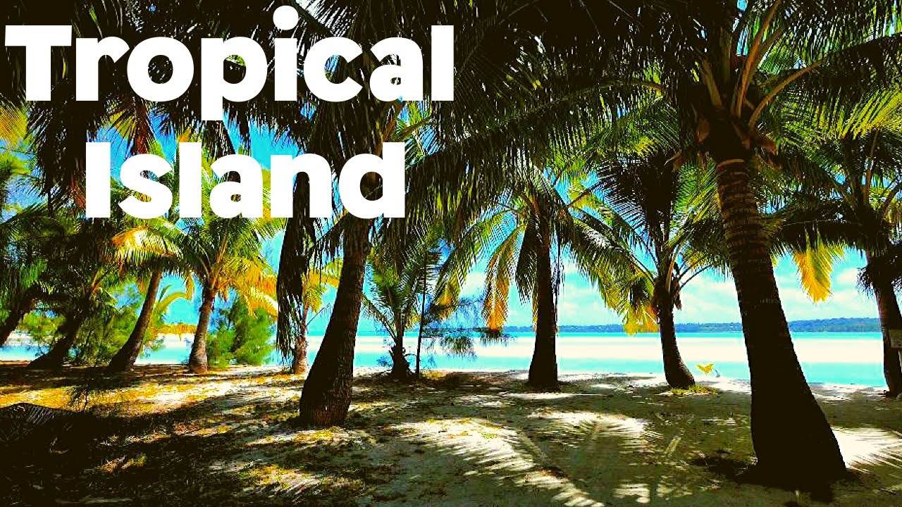 OCEAN SOUNDS AND SUNNY BEACH I HAWAIIAN MUSIC FOR CHILLING I TROPICAL ...