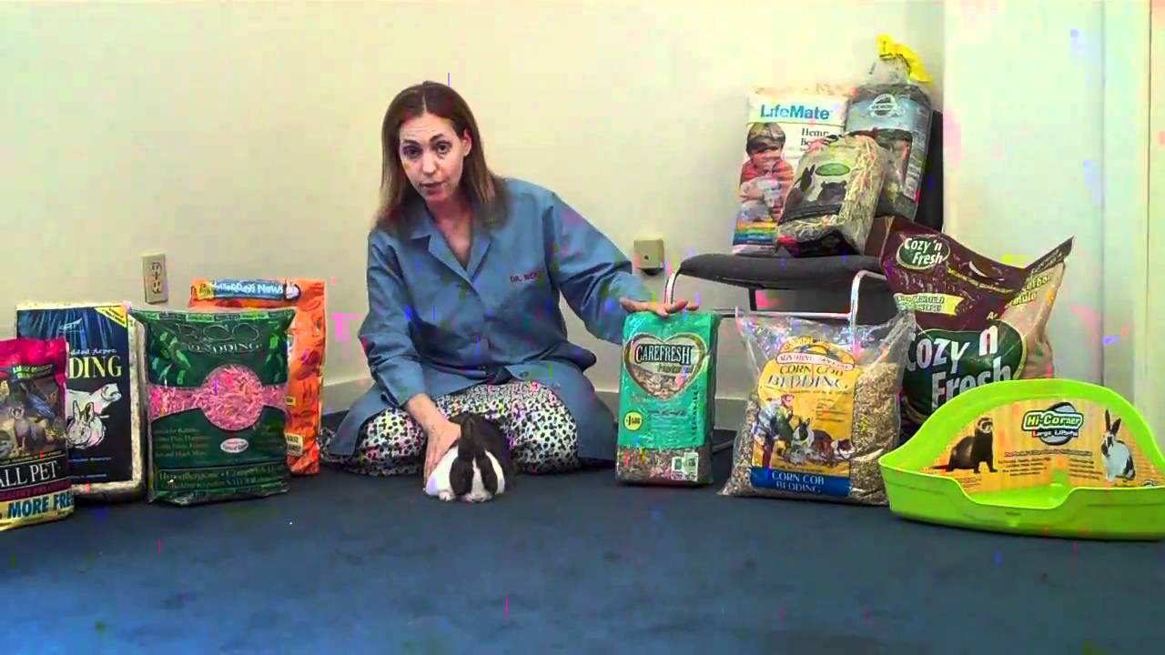 Choosing the Right Bedding For Your Pet Rabbit - YouTube